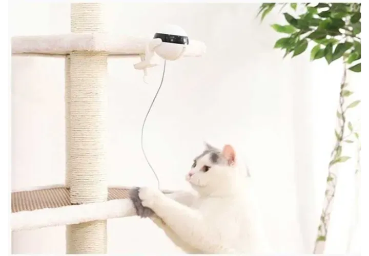 5 Rekomendasi Mainan Kucing untuk Manjakan Anak Bulu